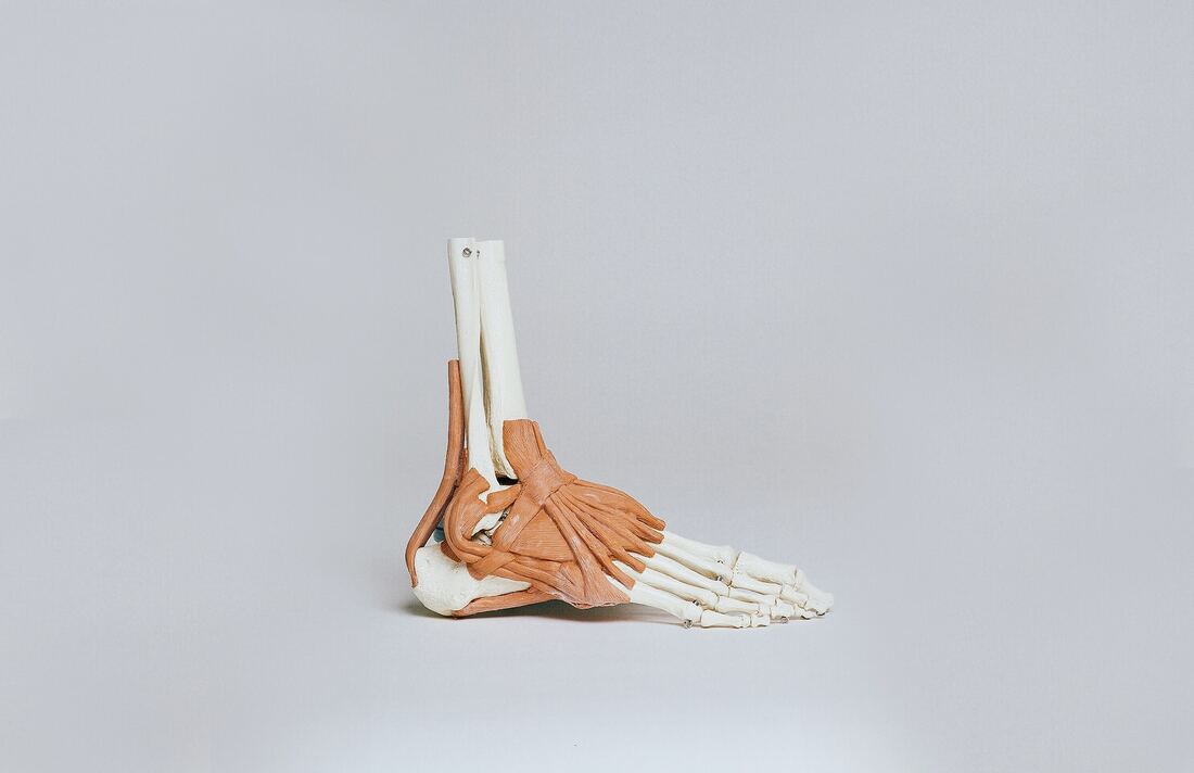 Understanding the Different Types of Ankle Foot Orthoses (AFOs) - Align ...